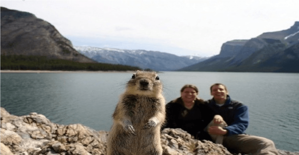 14 sykt morsomme bilder som er PERFEKT timet!